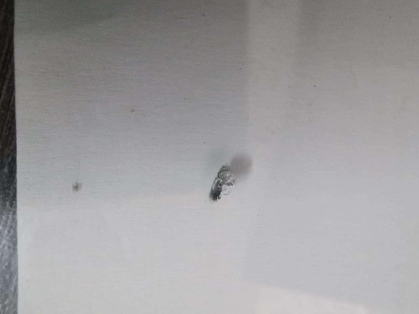 Chip Repair Studios – SAWRA